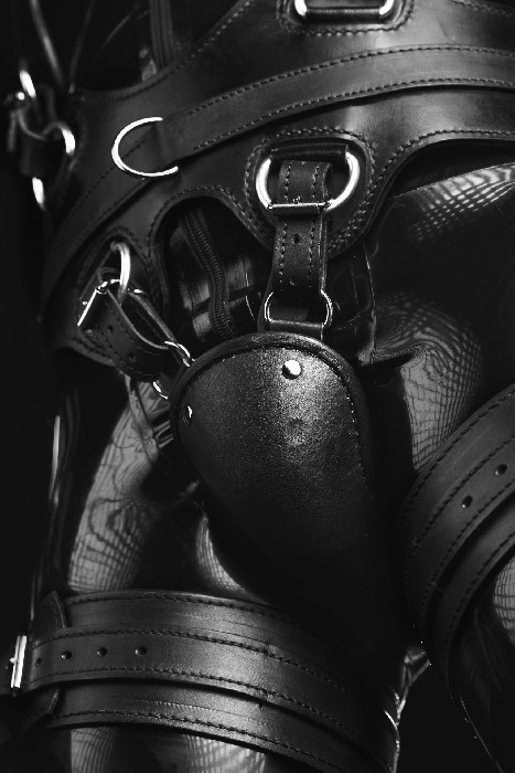 Extras and gadgets :: Equus Signum